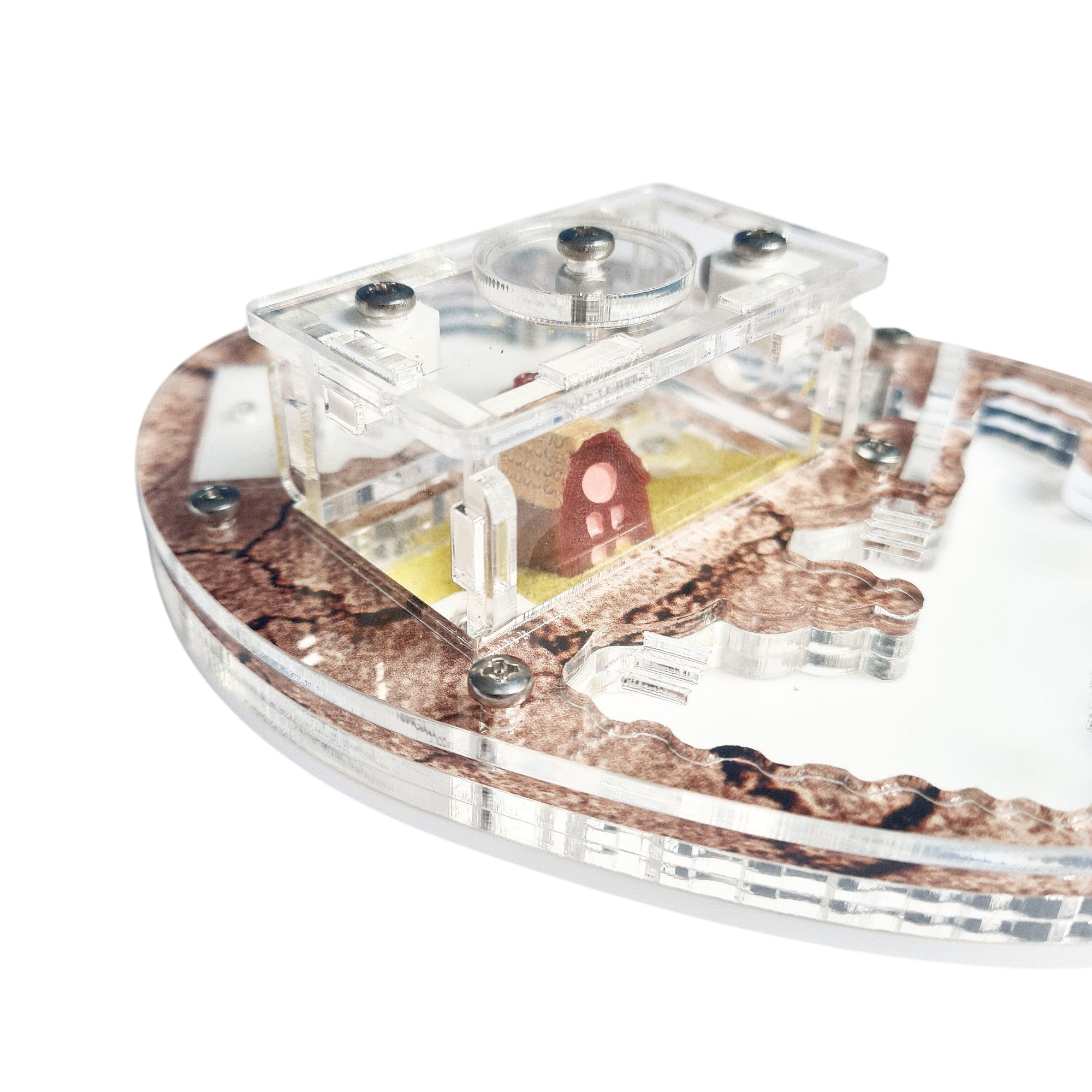 Formicaria – Buy Ant Nests & Farms Online | AntOnTop