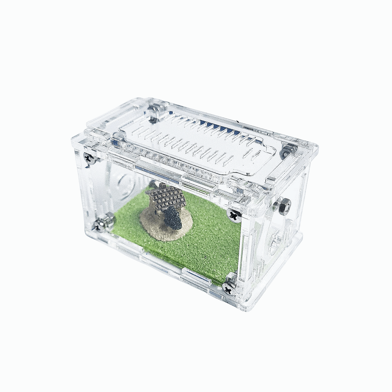 Buy Formicaria - Ant Farms for All Levels | ANTonTOP