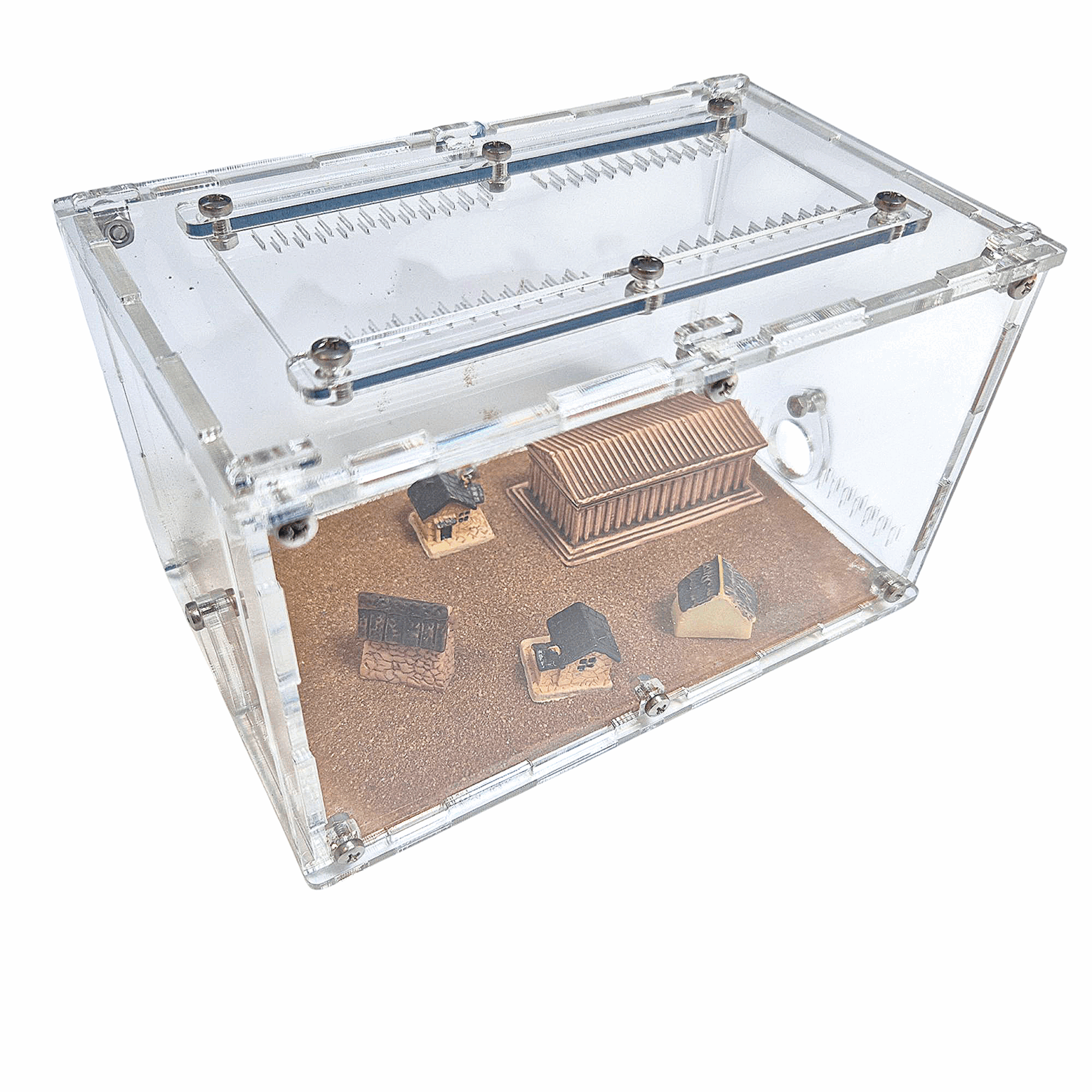 Buy Formicaria - Ant Farms for All Levels | ANTonTOP