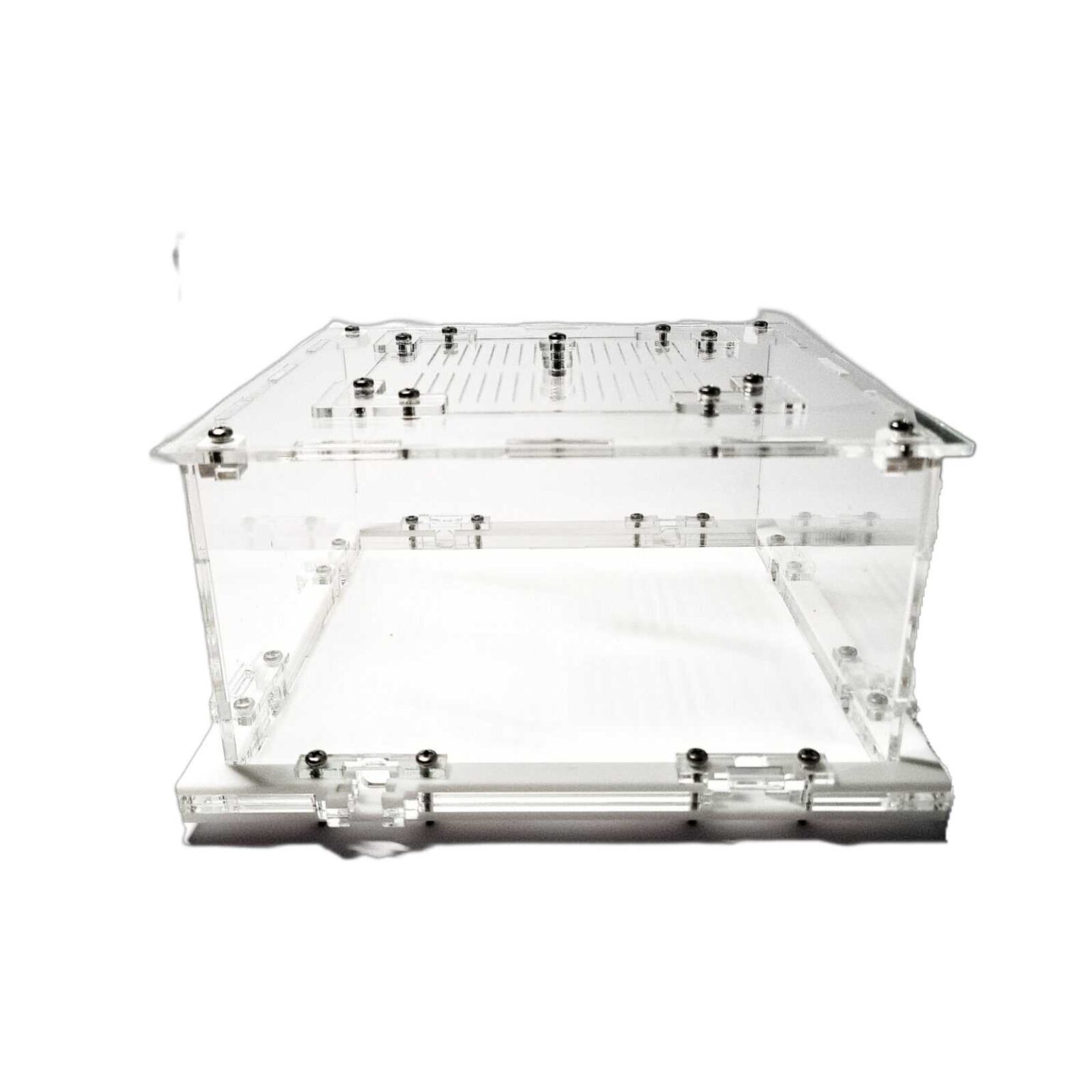 Buy Formicaria - Ant Farms for All Levels | ANTonTOP