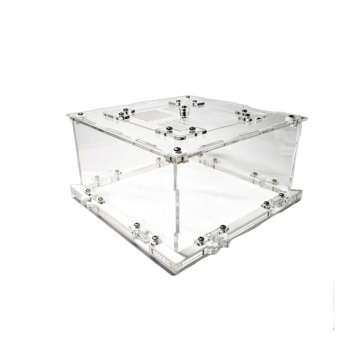 Buy Formicaria - Ant Farms for All Levels | ANTonTOP