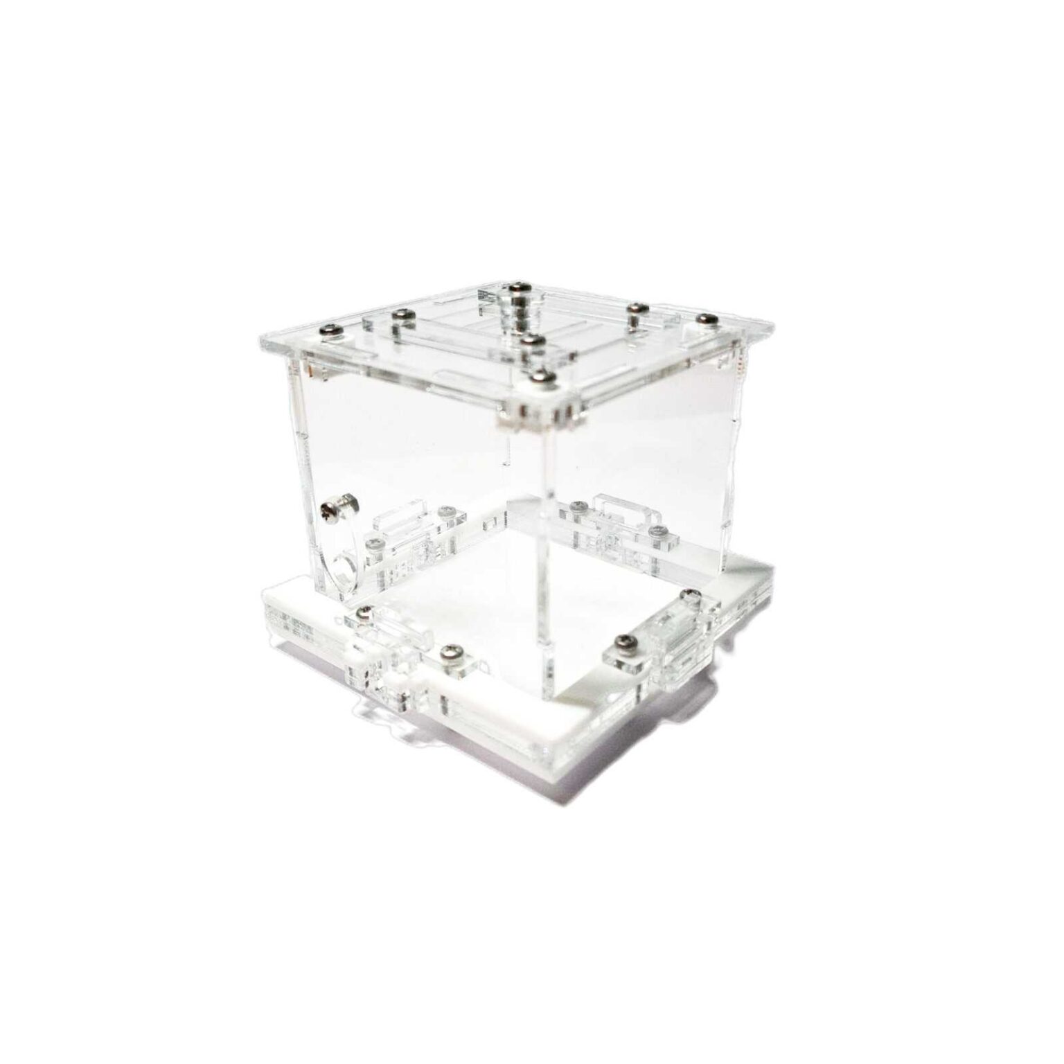 Buy Formicaria - Ant Farms for All Levels | ANTonTOP