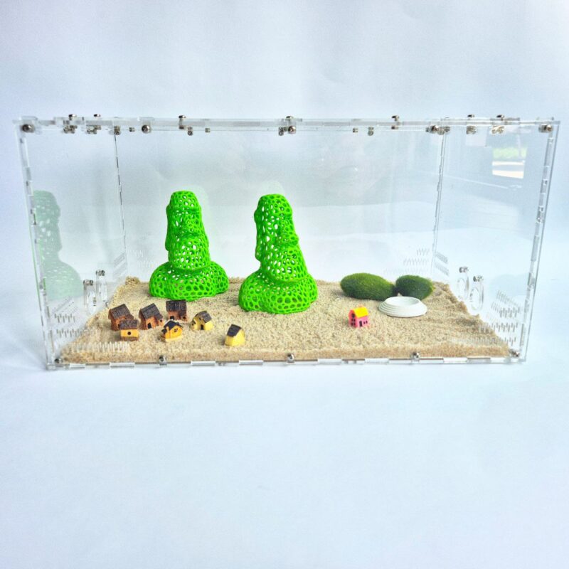 Buy Formicaria - Ant Farms for All Levels | ANTonTOP